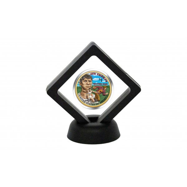 3D Floating 2-Sided View-Thru Coin Display Frame Holder Box Case with ...